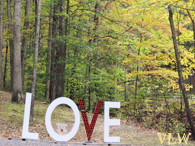 #LOVEVA : VIRGINIA IS FOR LOVERS! | Roses in the Rubble